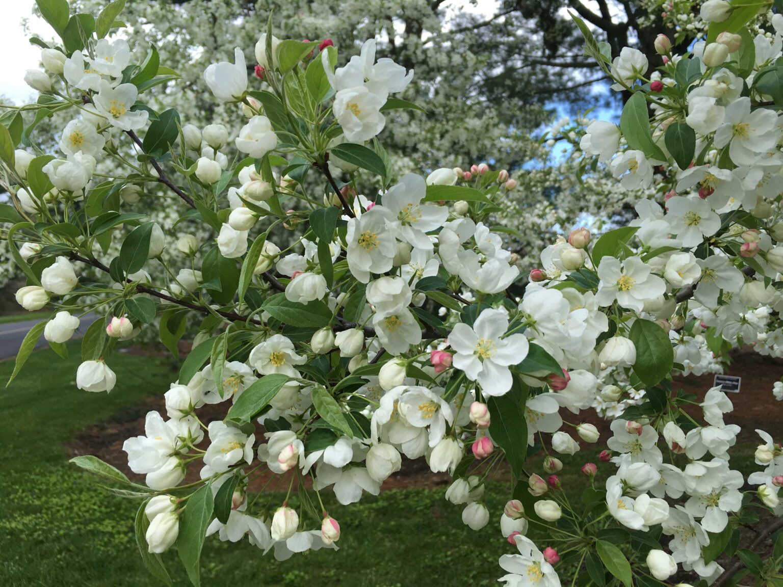Find a Garden - Americas Garden Capital