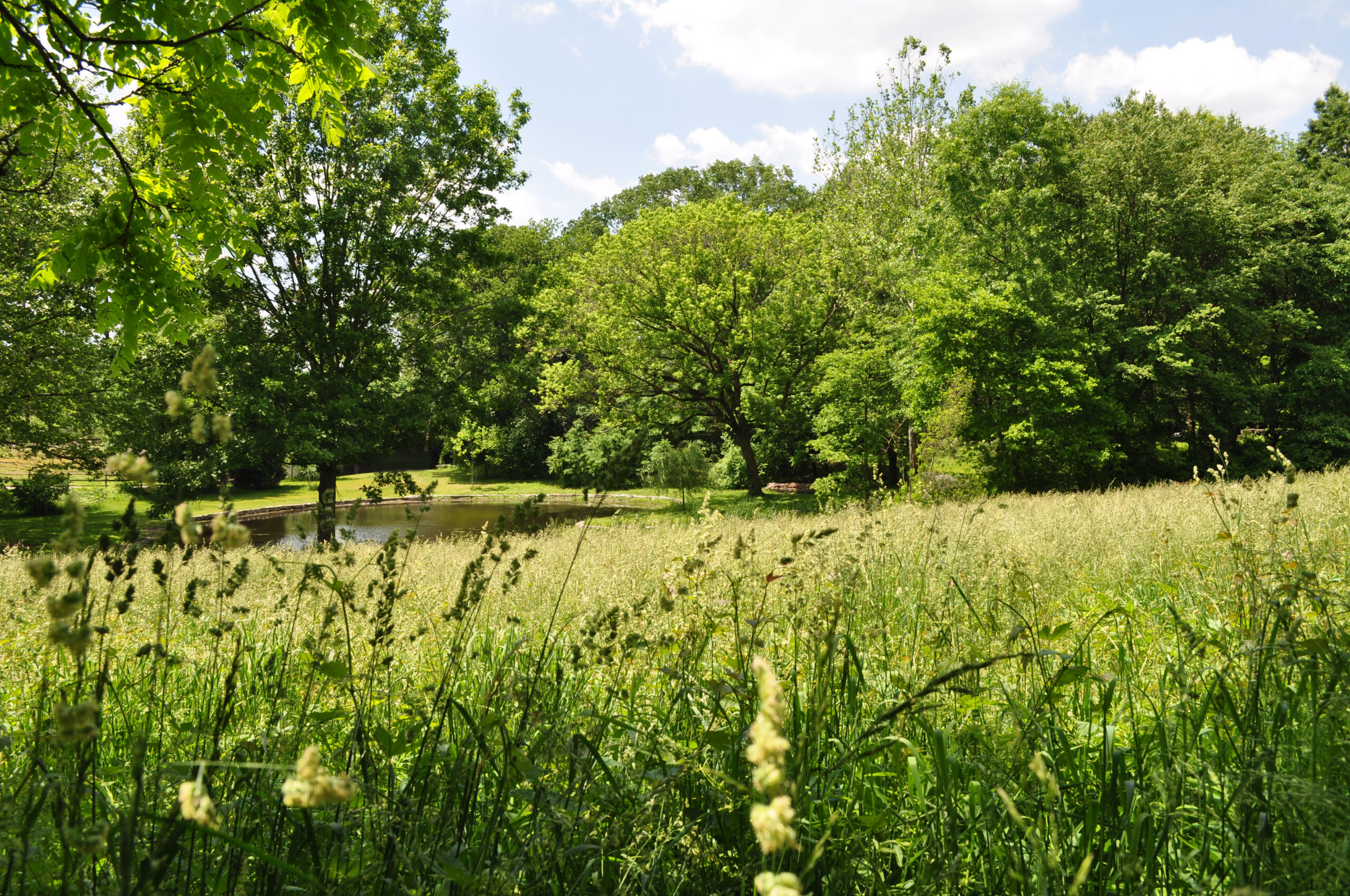 Awbury Arboretum - Americas Garden Capital