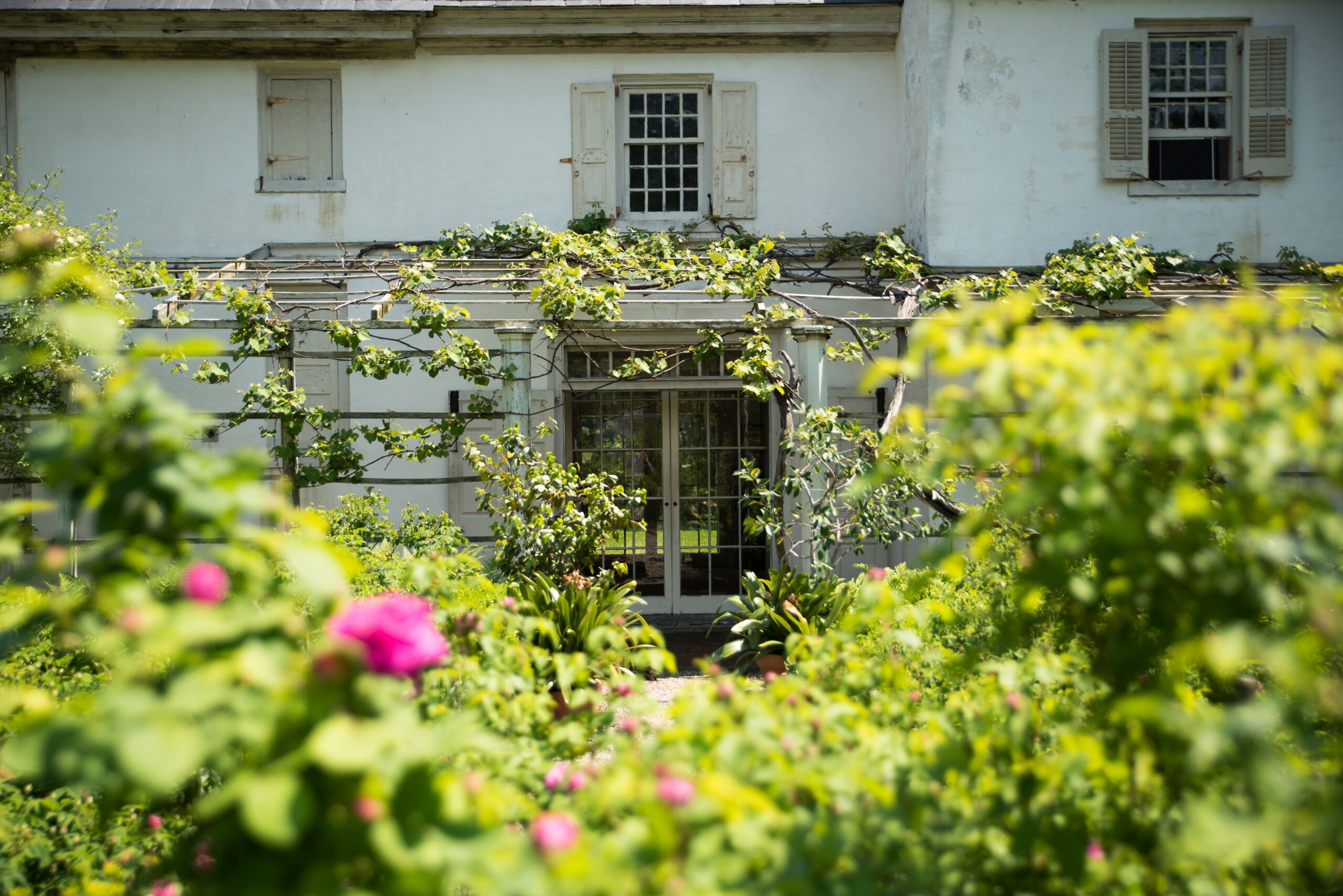 Wyck Historic House, Garden, Farm - Americas Garden Capital